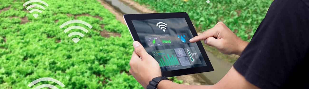 Smart Farming on a LORA Network | L&T Technology Services
