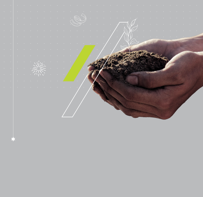 Plant a Tree | L&T Technology Services